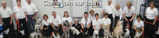 Therapy Dogs – St. John Ambulance Peel Dufferin Branch